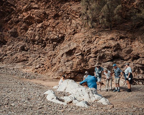 Cultural tours - EdTripper