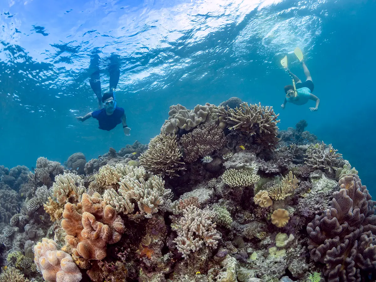 Great Barrier Reef Experience - EdTripper