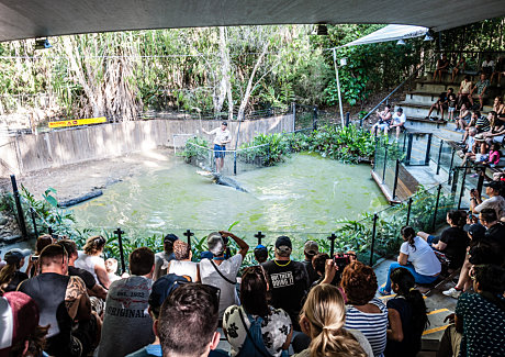 Hartley's Crocodile Adventure - EdTripper