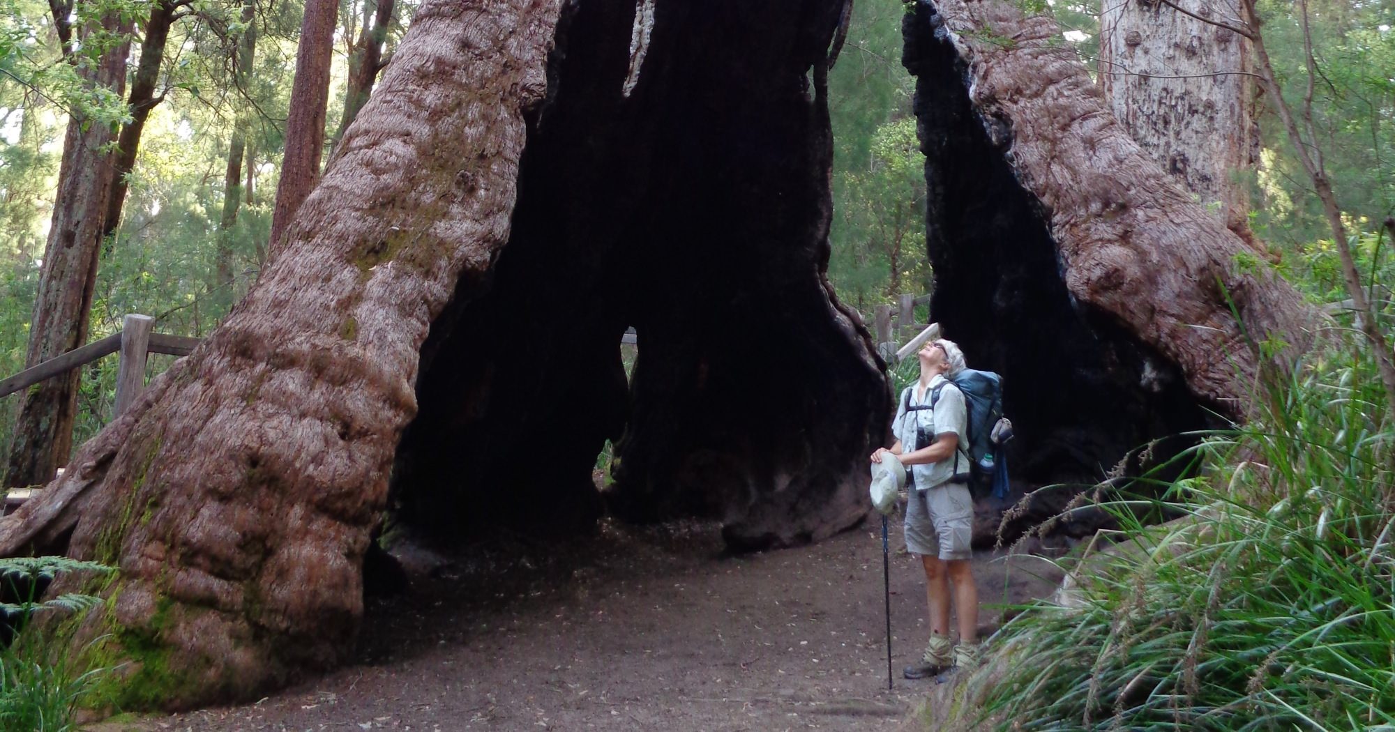 Bibbulmun Track - EdTripper
