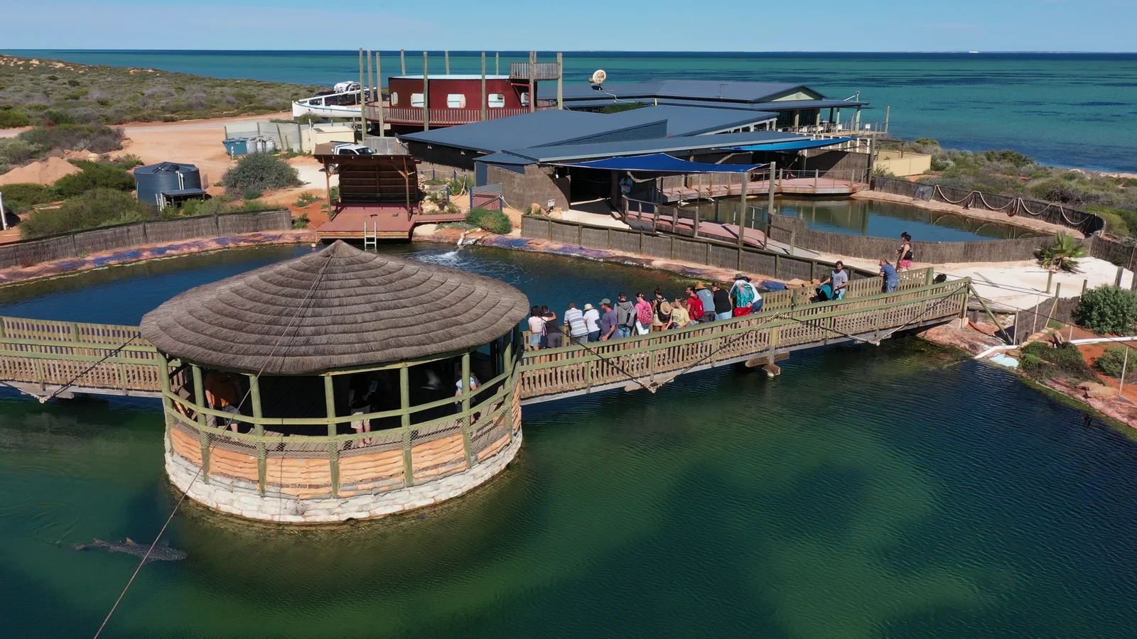 Ocean Park Aquarium - EdTripper