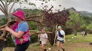 Destination Dreaming - EdTripper