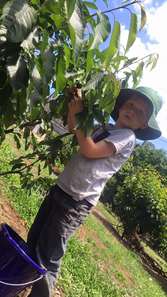 Self-guided Tour - EdTripper