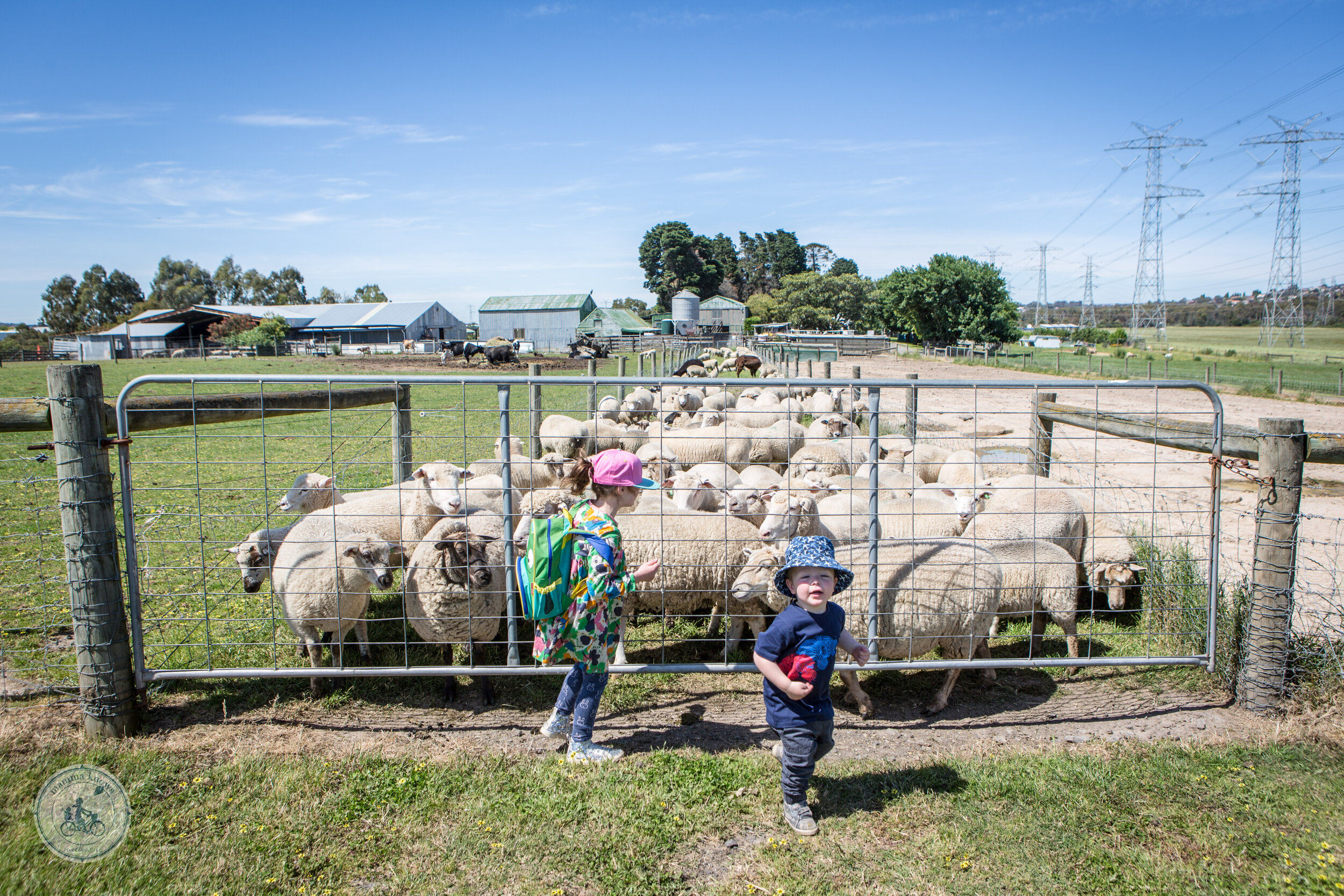 Chesterfield Farm - EdTripper