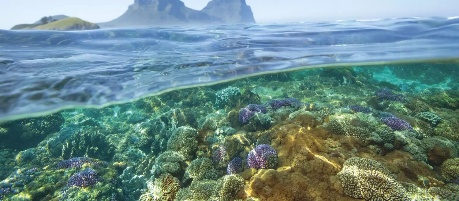 Guided Tour Park - EdTripper