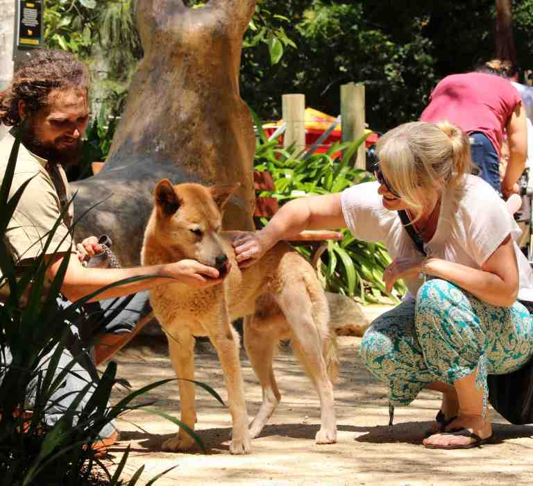 Billabong Koala and Wildlife Park - EdTripper