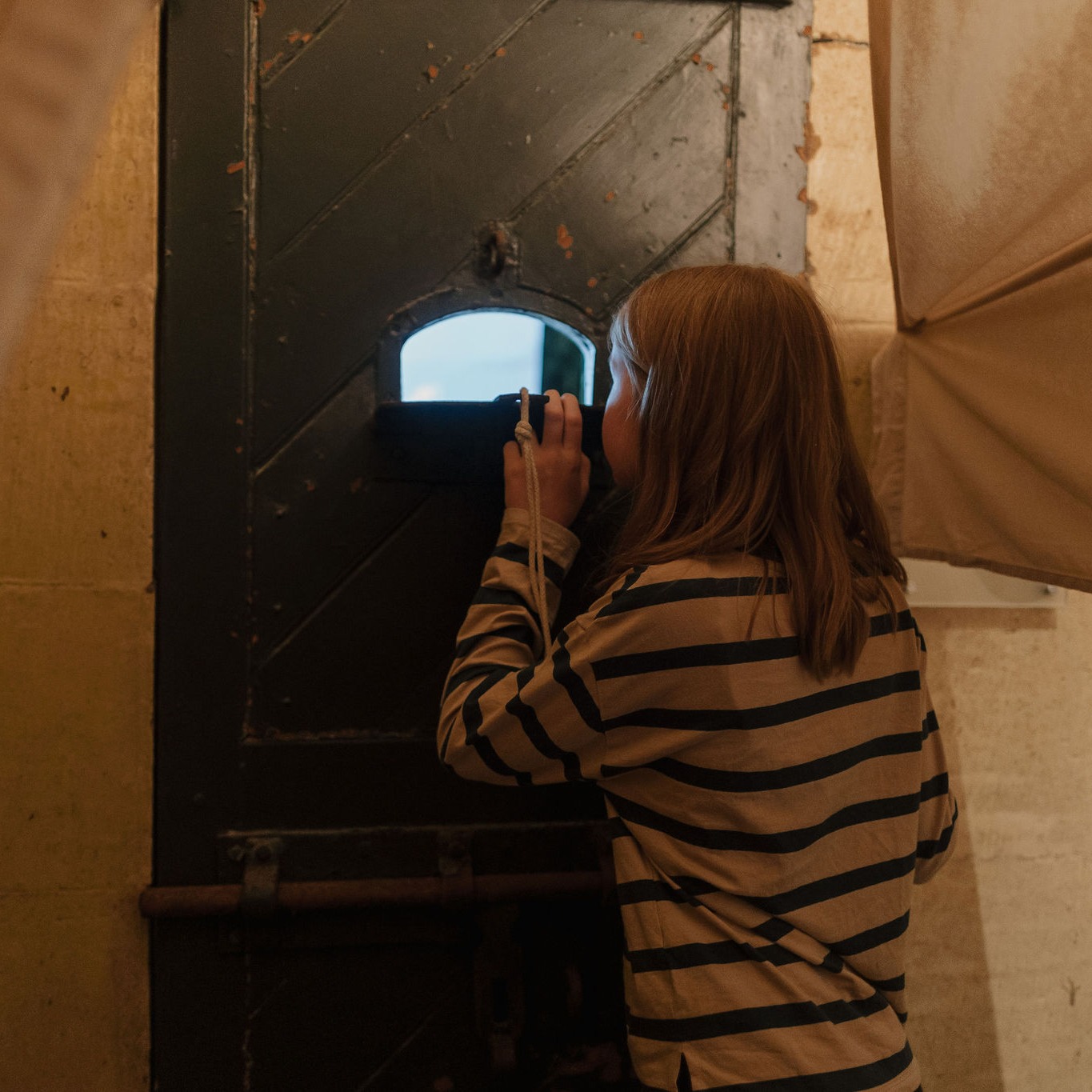 Arts in the YARD - EdTripper