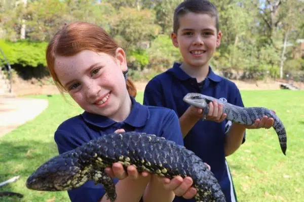 Incursion (High School) - EdTripper