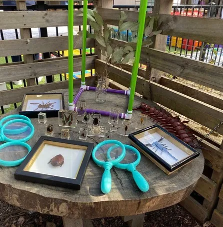 The Insectarium - EdTripper