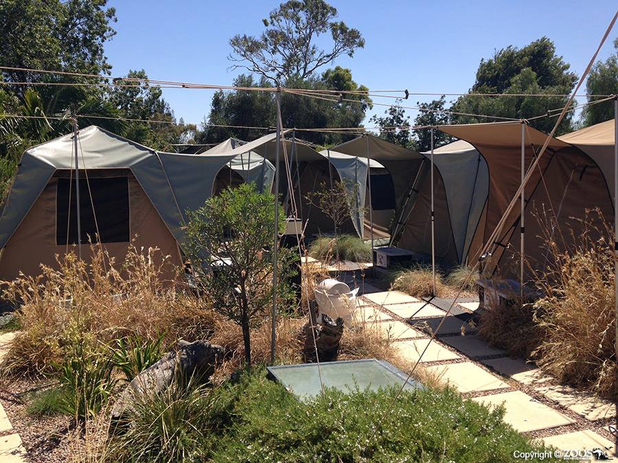 Zoosnooze Overnight Program - EdTripper