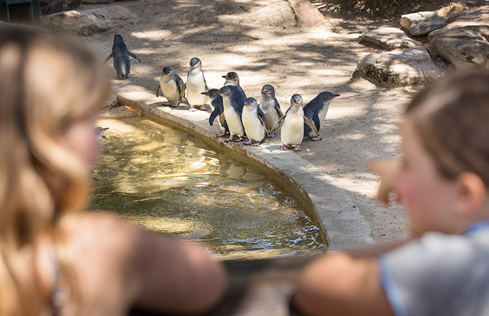 Self-guided Excursions - EdTripper