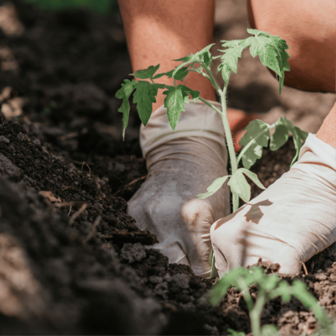 Primary | Yrs 3-4 - EdTripper