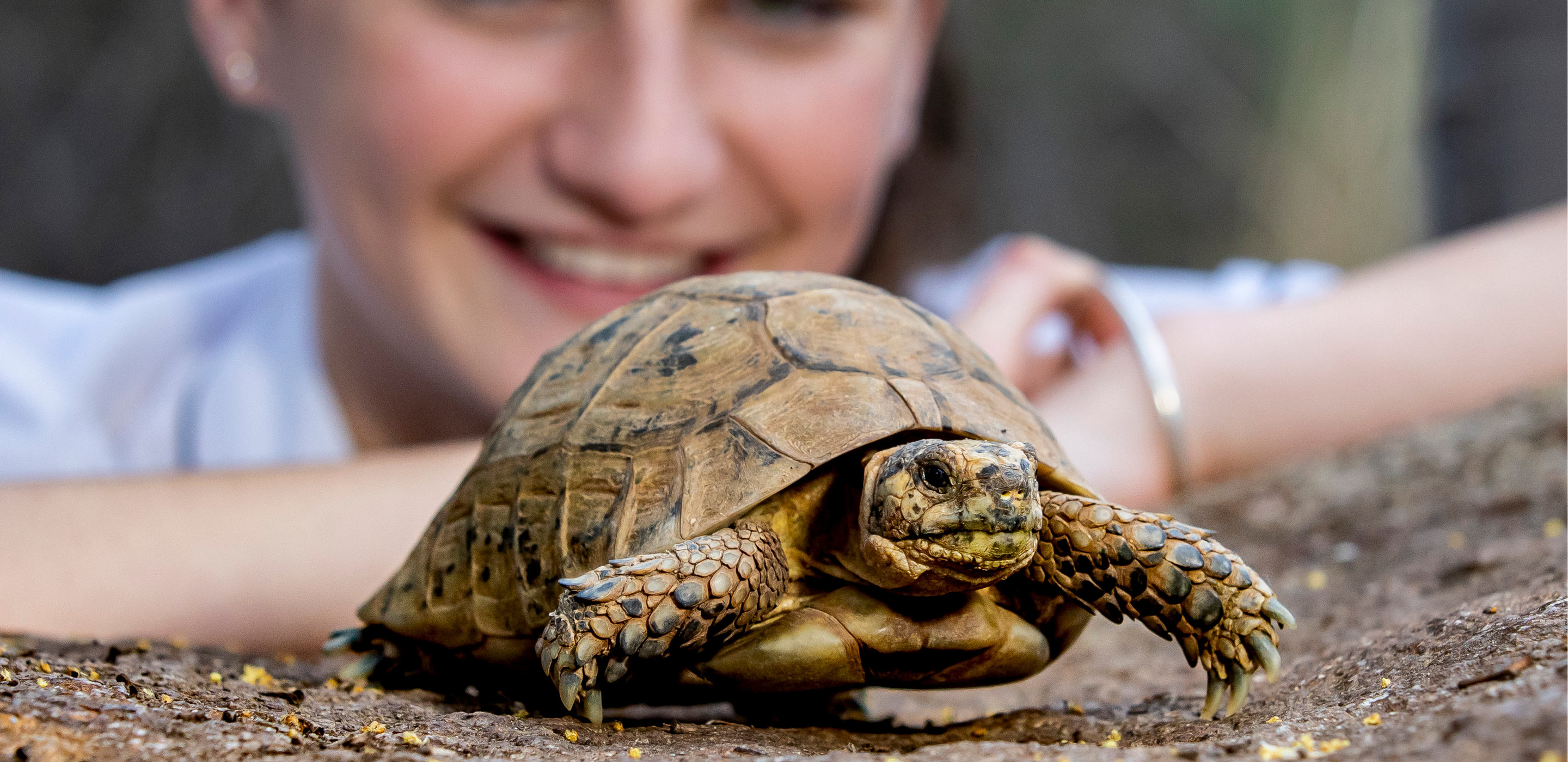 Dating With Dna – Self-guided Full Day Program - EdTripper