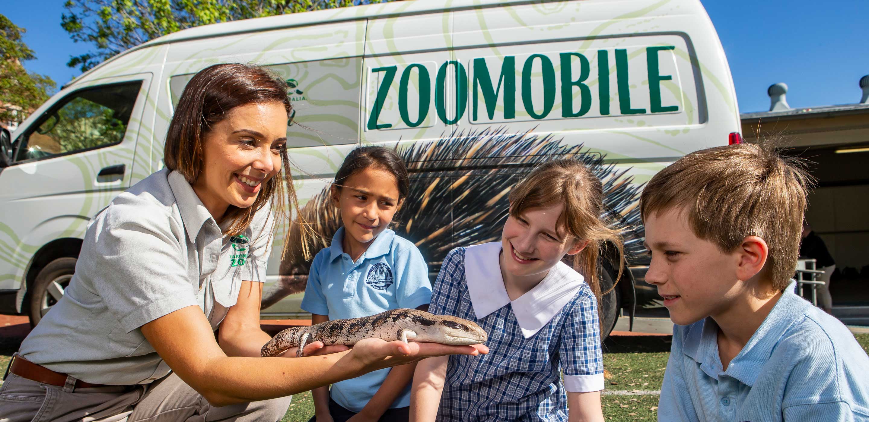 Zoomobile – Wildlife Incursion Program - EdTripper